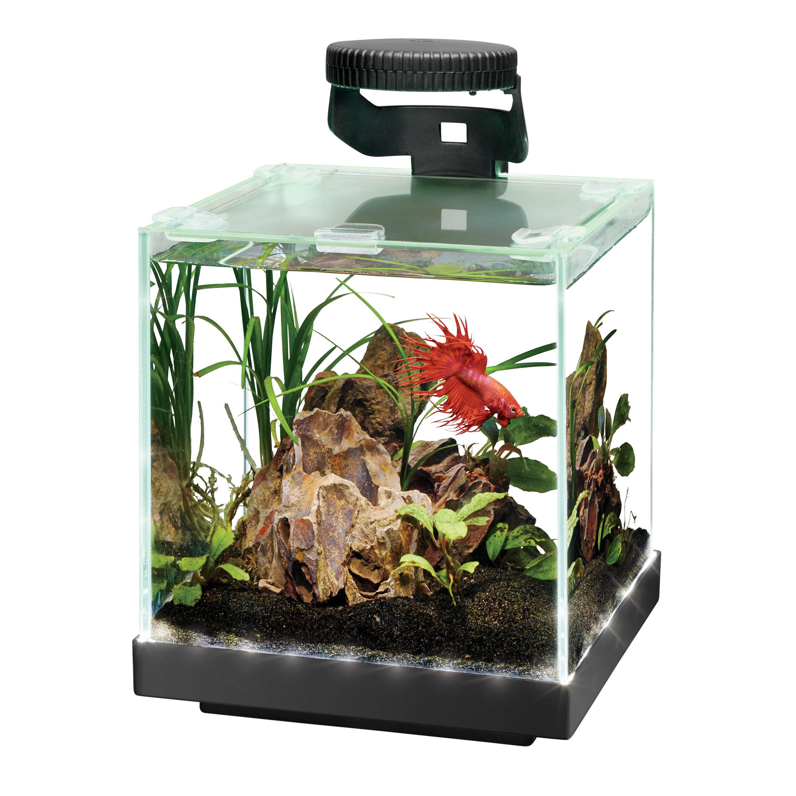 Aqueon LED Betta Light ⋆ Bobby G's Pro Aquarium